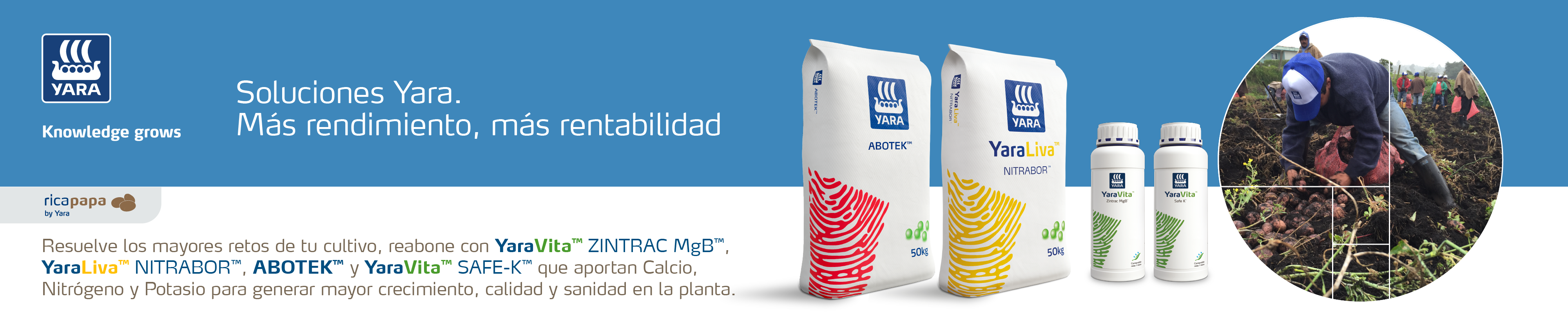 Contacto - Progressus